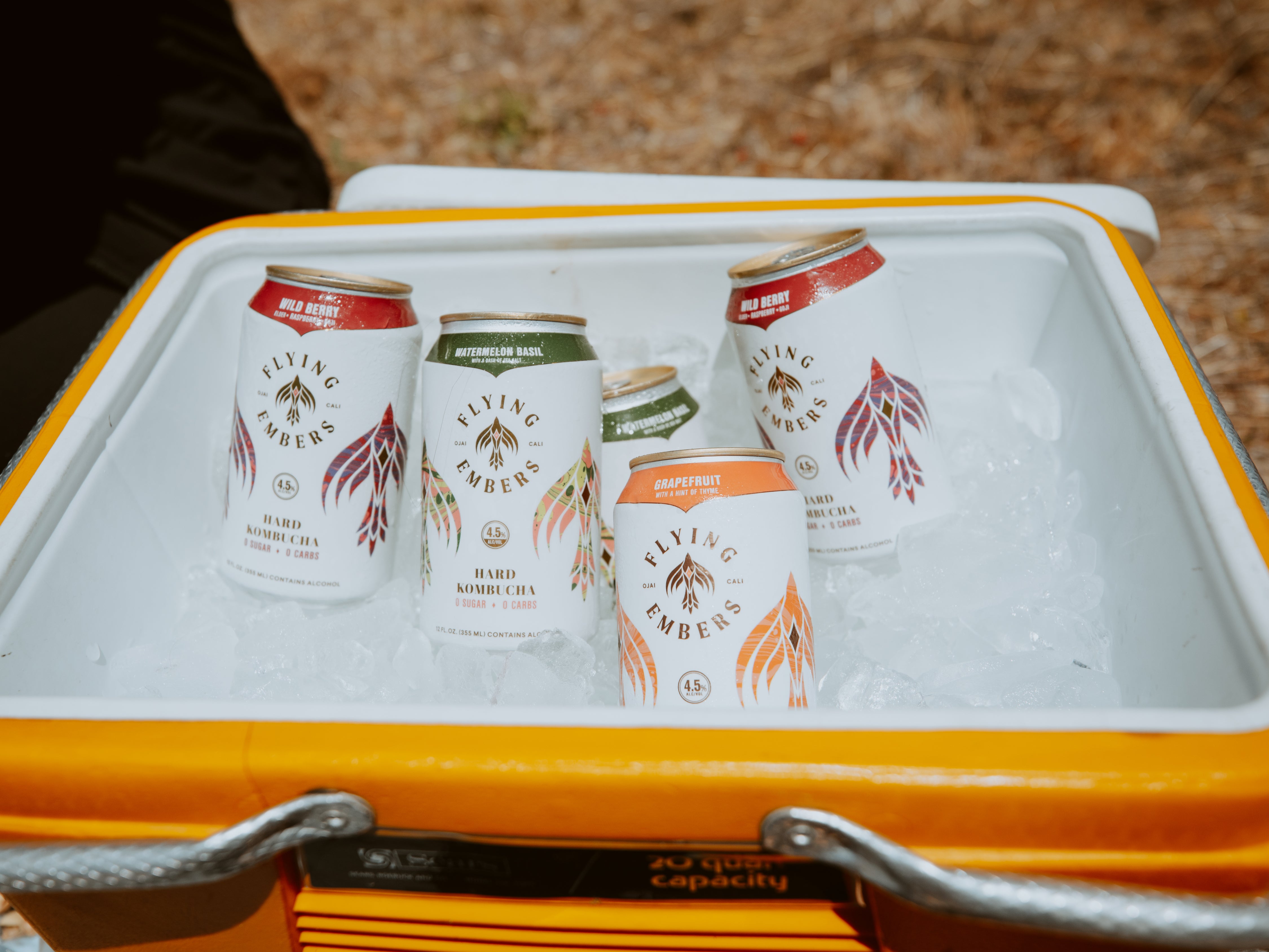 What is a Scoby | Flying Embers