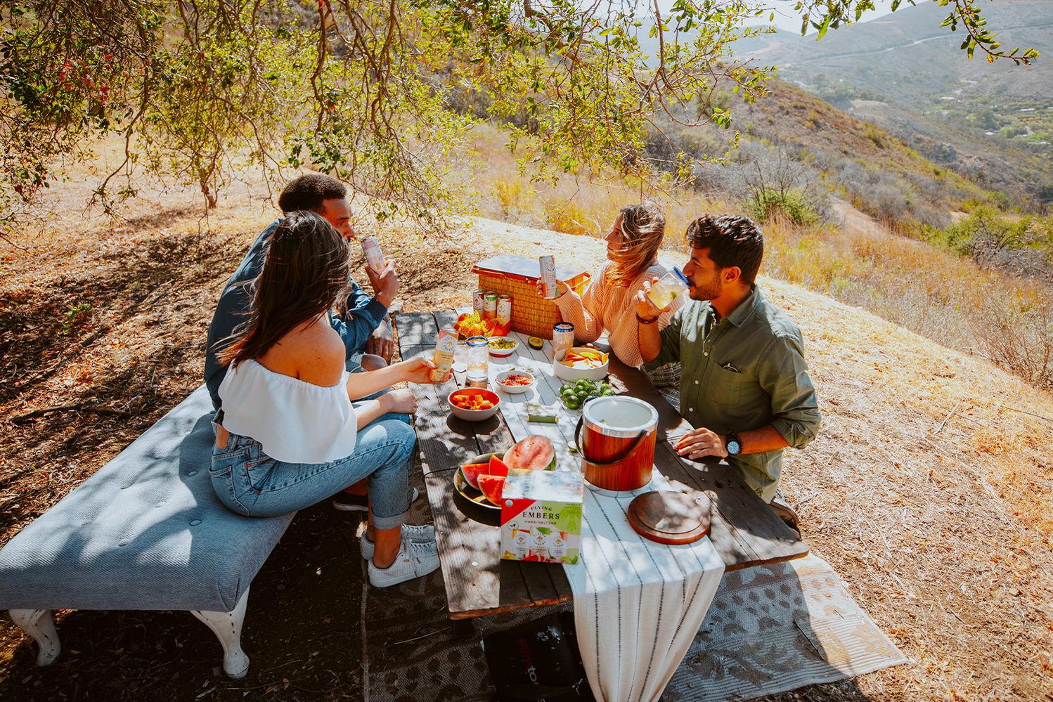 Best Picnic Food Ideas for Outdoor Concerts | Flying Embers