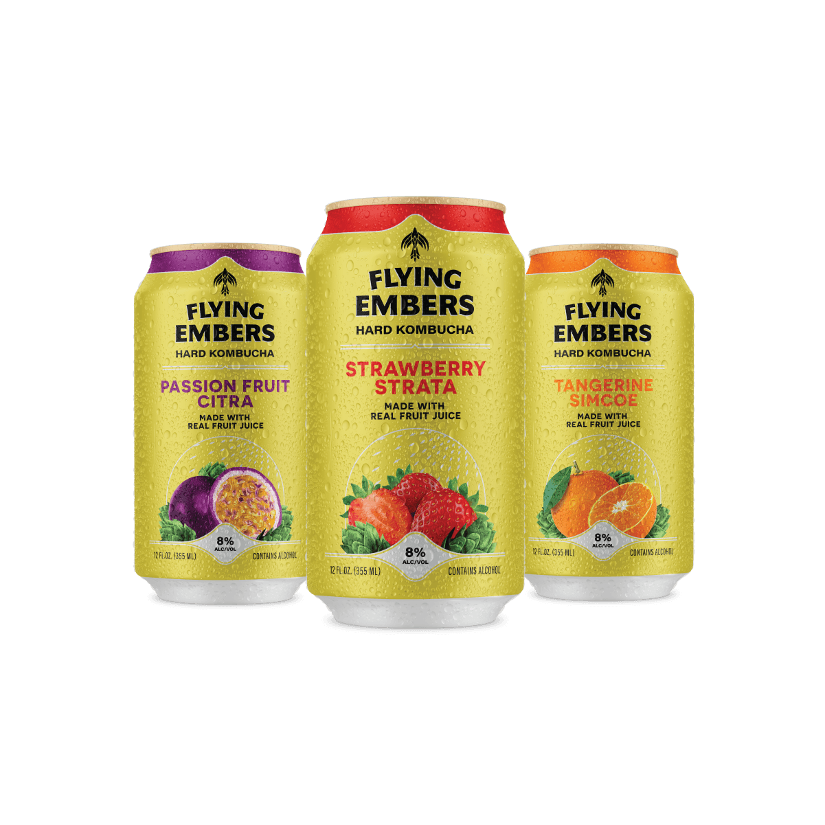 Tropical Hops Hard Kombucha Variety Pack | Flying Embers